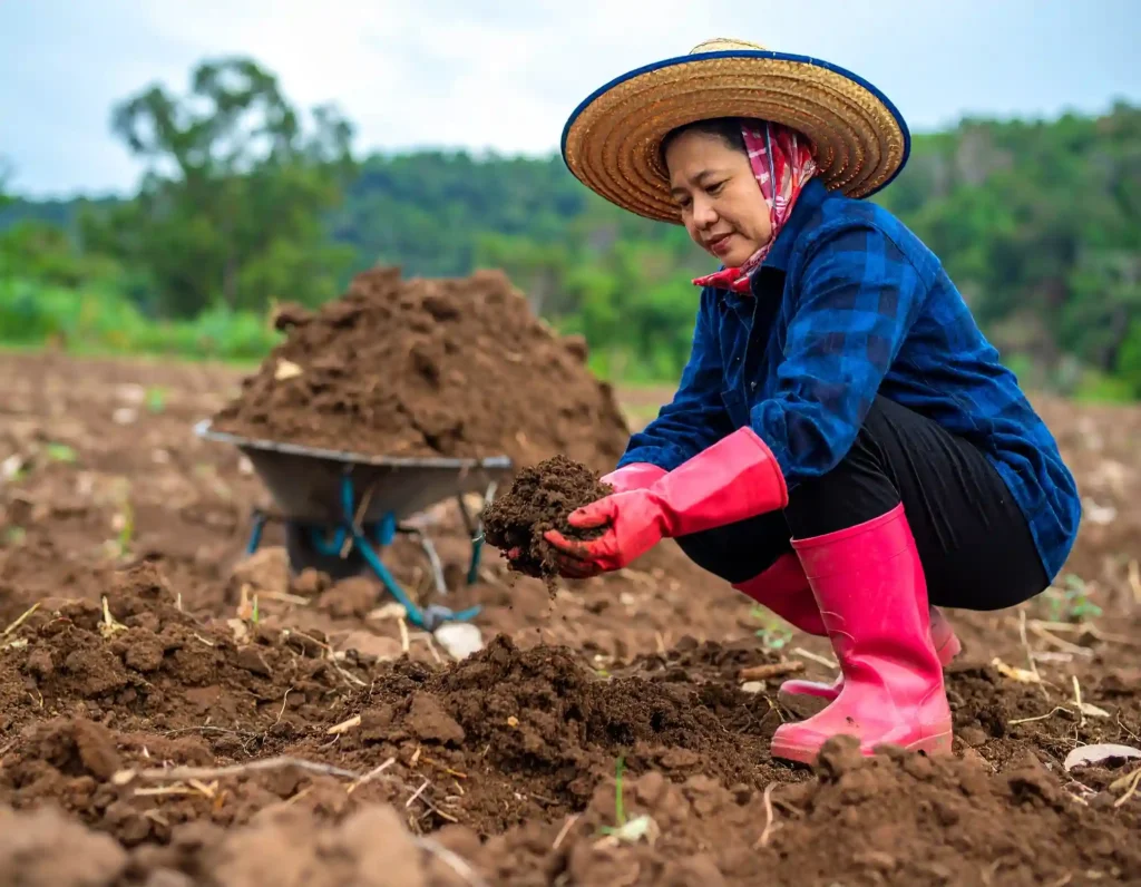 ¿Qué Es El Humus Y Por Qué Es Esencial Para Tu Suelo?