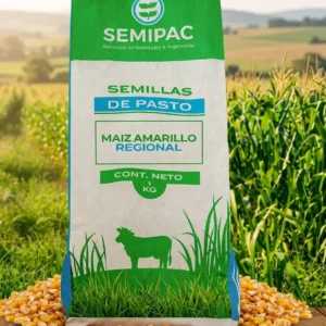 Semilla De Maíz Amarillo Regional
